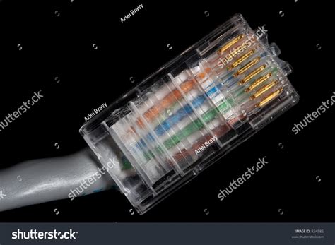 Small Ethernet Cable Head At Brayden Woodd Blog