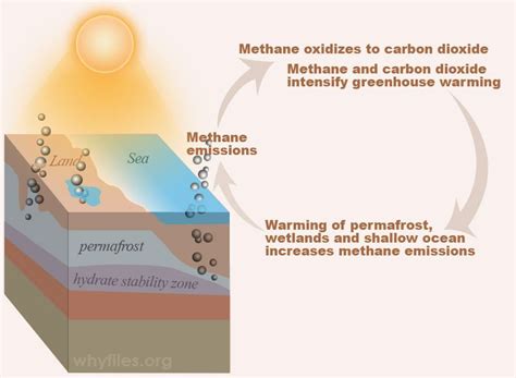 Permafrost Diagram Gas Emissions