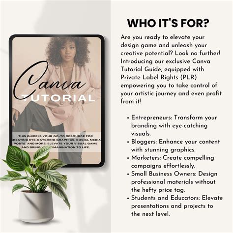 Canva Crash Course Guide Canva 101 Tutorial Guide Canva Cheat Sheet How