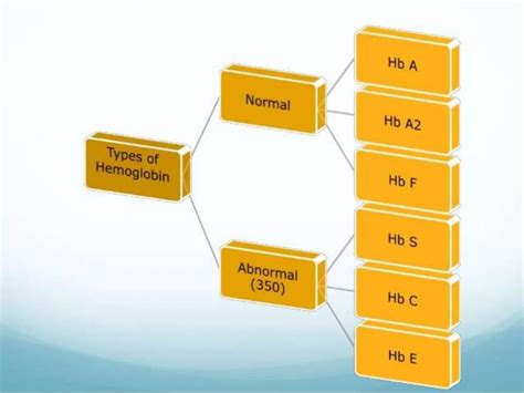 Sickle Cell Anemia Causes And Inheritance Pattern Pptx
