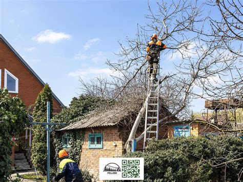 Tree Removal Cost Calculator Felling UK