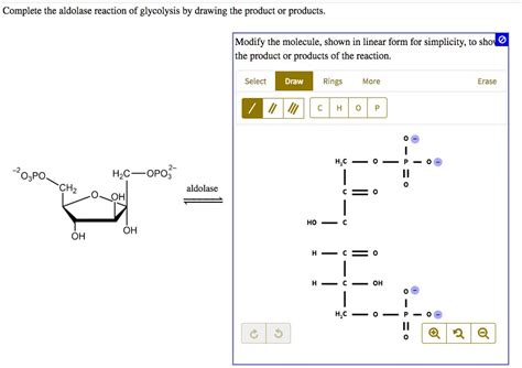Complete The Aldolase Reaction Of Glycolysis By Drawing The Product Or