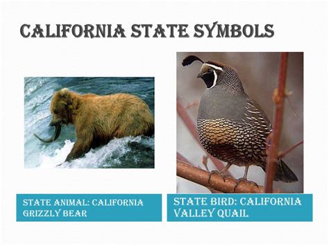 Ppt California Powerpoint Presentation Free Download Id3130097