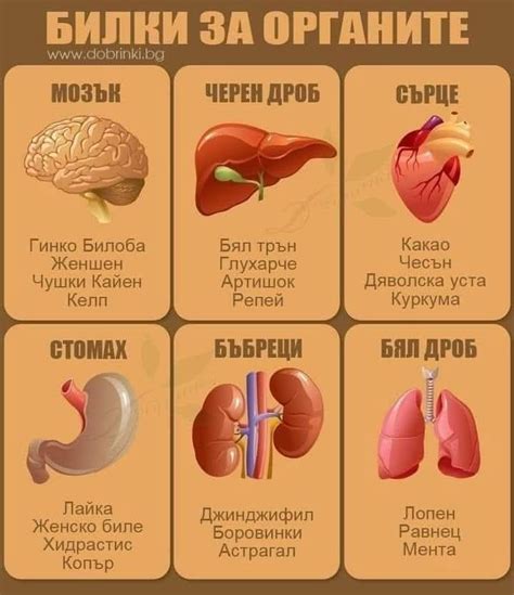 Божи Дар Божи Дар Added A New Photo