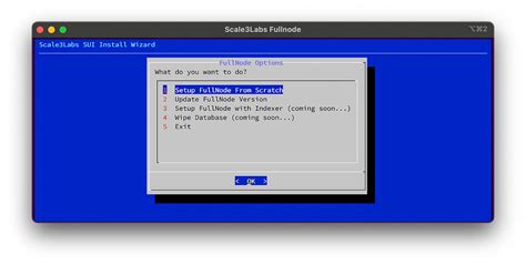Setup And Run A Sui Full Node A Step By Step Guide To Setup And Run A