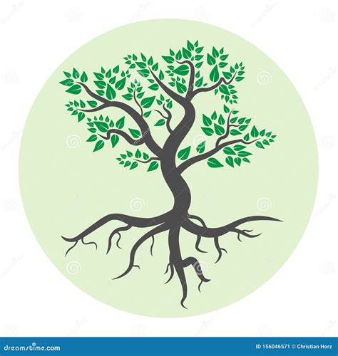 Foliage Tree With Roots Symbol Or Icon Stock Vector Illustration Of Organic Plant 156046571