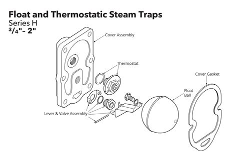 Hoffman 404200 Ft015h 3 Fandt Steam Trap State Supply