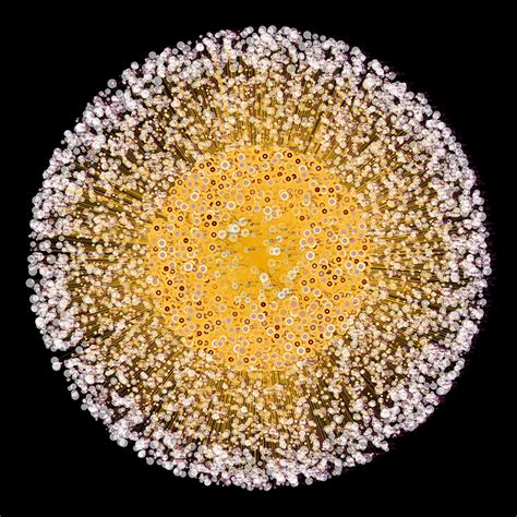 Nodes In Circular Formation Artwork Of Max Morresi