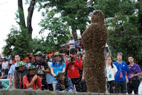 Bee Bearding Competition