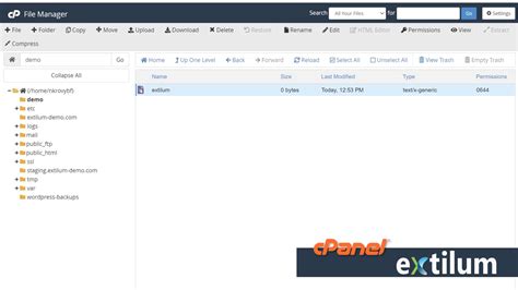 Rename A File Or Folder In File Manager Cpanel • Extilum Knowledgebase