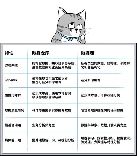 一起走进数据湖