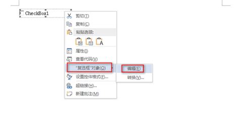 Word2010如何插入复选框360新知