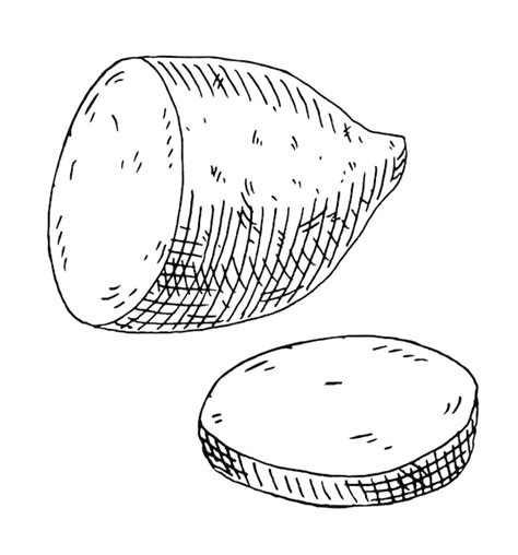 Vectores E Ilustraciones De Camote Para Descargar Gratis Freepik
