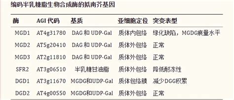 Exploring The Role Of Galactolipid Biosynthesis In Flowers On Growth