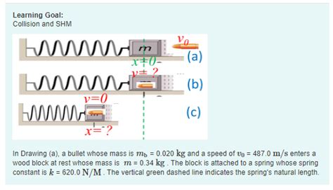 solved collision and shm 1 calculations