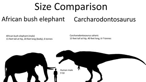 Dinosaur Size Comparison Elephant