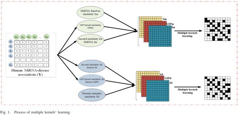 Daemkl：基于多核学习的深度自动编码器预测mirna与疾病的关联（ieee Transactions On Neural Networks