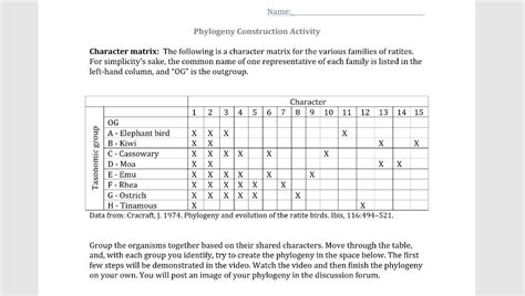 Solved Name Phylogeny Construction Activity Character