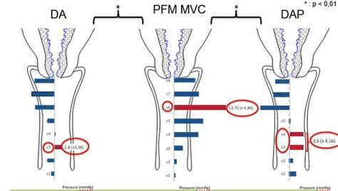 Diagram Of Pressure Amplitude And Distribution Along Each Task Download Scientific Diagram