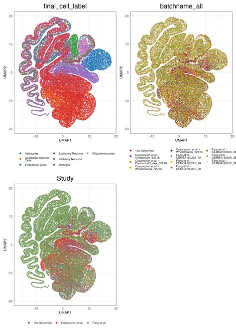 Atac Dataset Mousebrainatacwindowslarge