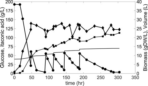 Fermentation Data On Fed Batch Cultivation With Pulse Feeding Of U