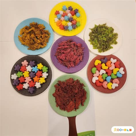 보들보들 스칸디아모스 이끼와 모양콘 나무 꾸미기 차이의 놀이