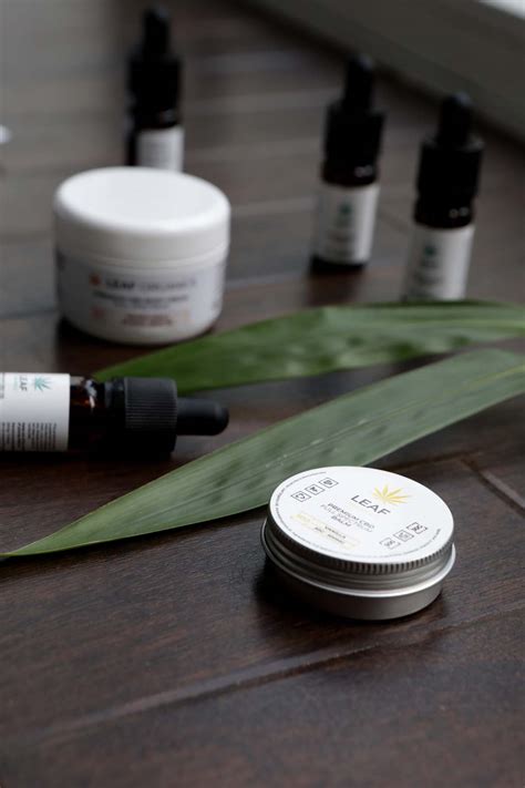 What To Look For When Buying Cbd Leaf Organics Cbd