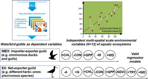 Summary Figure Of Valid Ordinary Least Squares Ols Linear Regression