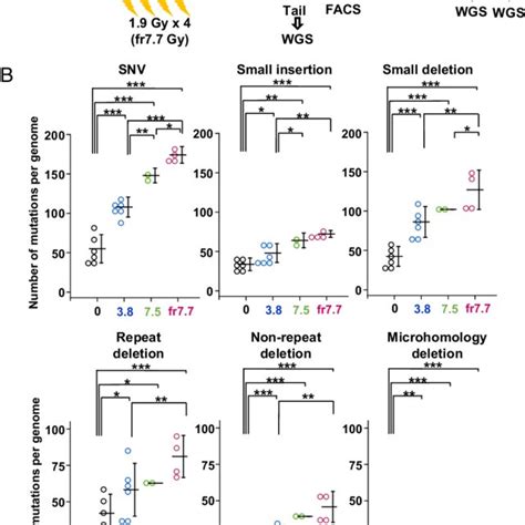 Commonality Of Somatic Mutations Among Multiple Lt Hscs A The Graphs Download Scientific
