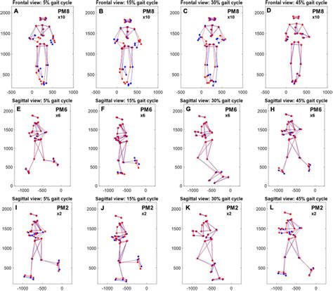 reconstructed average movement patterns of males and females