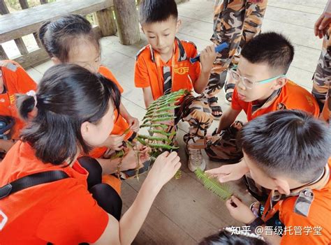 2022新手如何成功运营校外托管机构？ 知乎