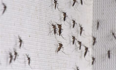 A Machine Learning Approach To Dengue Forecasting Comparing Lstm