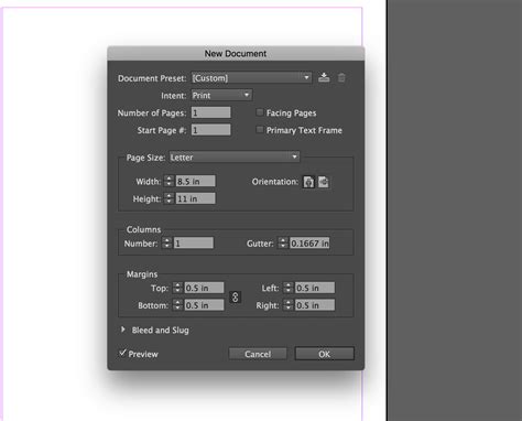 How To Create A Basic Document In Indesign Natasha Lane Design Co