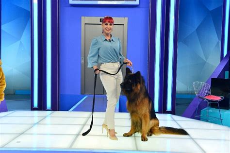 Sbt Apresentadora Aline Serrano