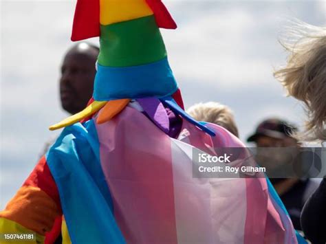 Man Wearing Rainbow Flag And Jesters Hat At The Gay Pride Parade In