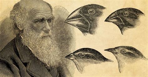 Has Charles Darwins Theory Of Evolution Been Pretty Much Proven