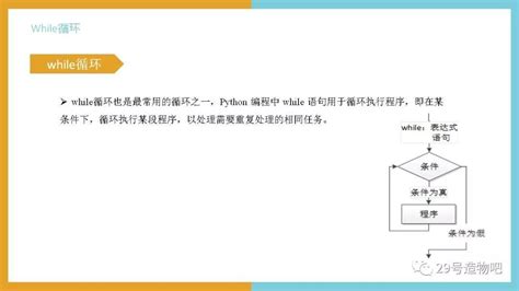 【python编程基础】第九讲：while循环 少儿编程教程网
