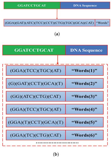 Ijms Free Full Text Ienhancer Gan A Deep Learning Framework In Combination With Word