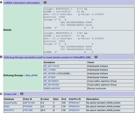 Computational Annotations For The Arabidopsis Nac Transcription Factor