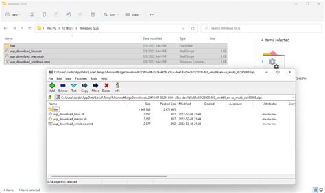 Downloading Windows 11 Uup Files From Moisés Cardona