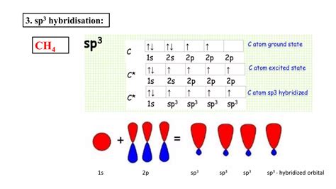 Hybridization Pdf
