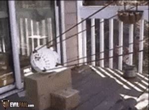 Squirrel Catapult  Wiffle