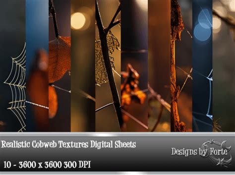 Realistic Cobweb Textures Digital Sheets Graphic By Heidi Vargas Smith · Creative Fabrica