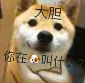大胆 你在狗叫什么 《大胆！你在叫什么？》——超凶狗狗表情包来袭表情包图片动图 求表情网斗图从此不求人