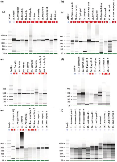 Bioanalyzer Electropherograms Of Total Rna For A Diverse Array Of