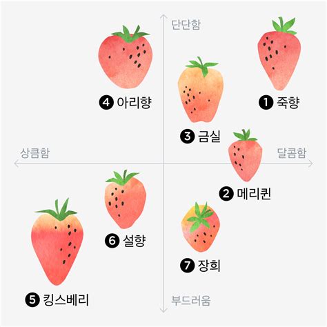포항 장기 송라 산딸기 흑딸기 급냉 500g Ssgcom 포항 장기 송라 산딸기 흑딸기 급냉 500g Ssgcom