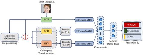 The Overall Architecture Of Our Multi Colorspace Fused Efficientnet Download Scientific Diagram