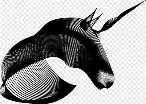 시각 예술 드로잉 일러스트 레이터 디지털 일러스트 일러스트레이션 추상 작품 흑백 추상 라인 추상적 인 배경 Png Pngwing