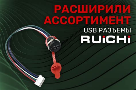 Расширение ассортимента! Разъемы USB и TYPE-C RUICHI.