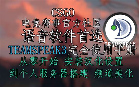 teamspeak3完全使用手册（2023） 从安装汉化到服务器搭建！一个视频从零基础到上手 kanon misaka 电脑 哔哩哔哩视频
